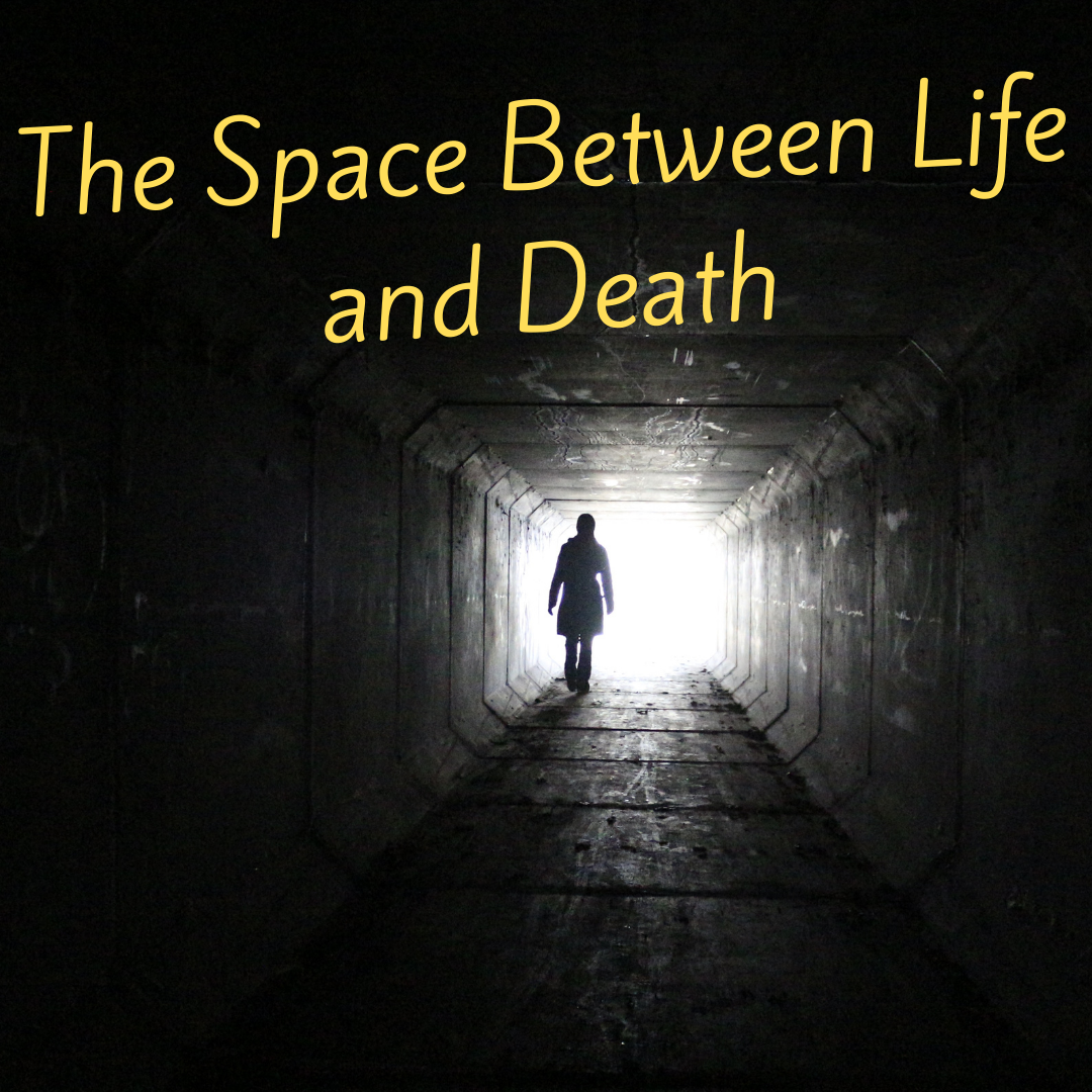 The Space Between Life and Death | Sheri Jacobs